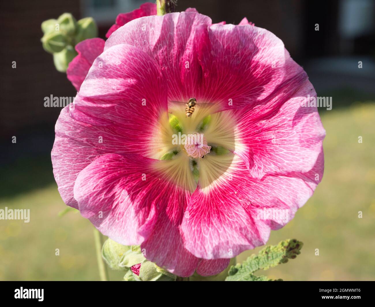 Radley Village, Oxfordshire, England - 26 June 2020; no people in view ...