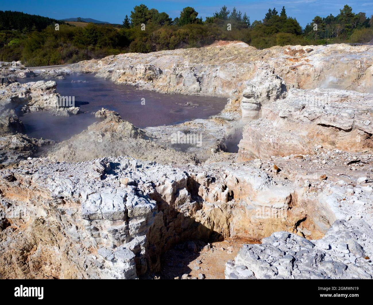 Rotorua, New Zealand - 1 March 2019; Rotorua in New Zealand's North ...