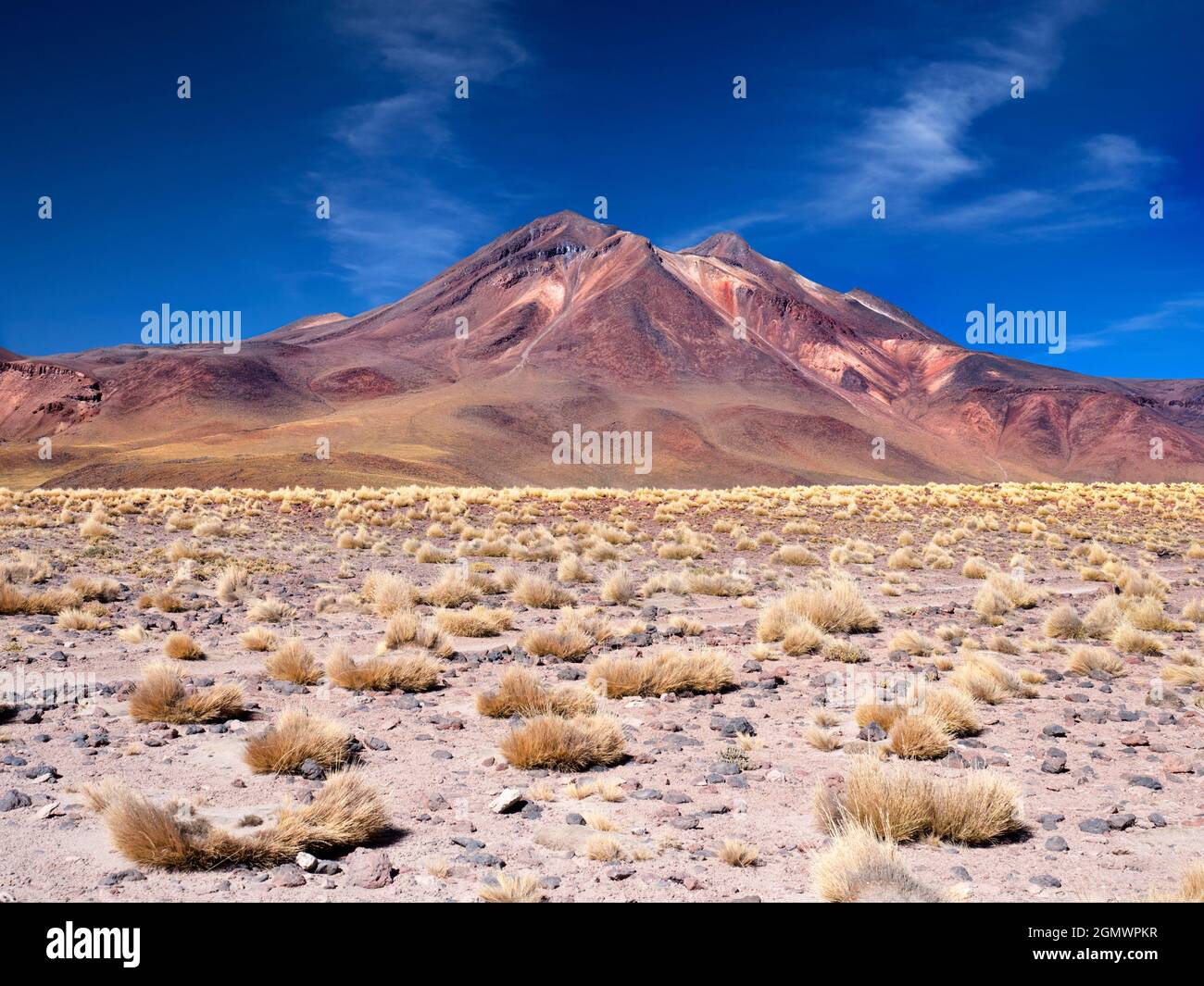 South chile climate hi-res stock photography and images - Alamy