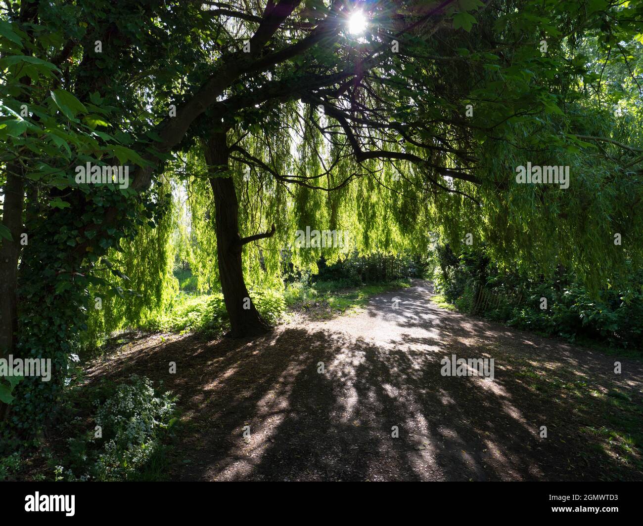 Abingdon, England - 4 May 2019; This beautiful footpath runs through ...