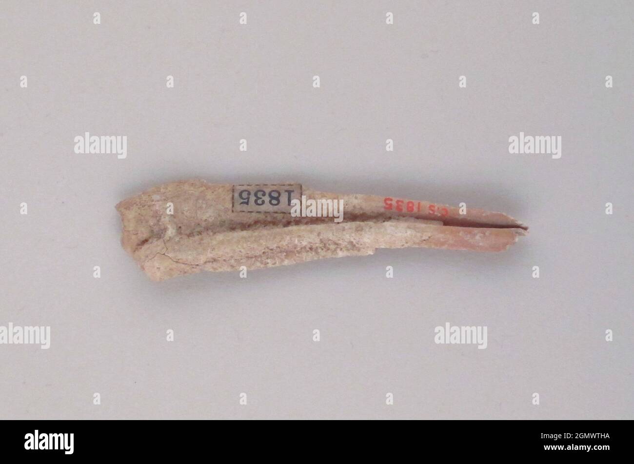 16 9 11 7 cm hi-res stock photography and images - Alamy