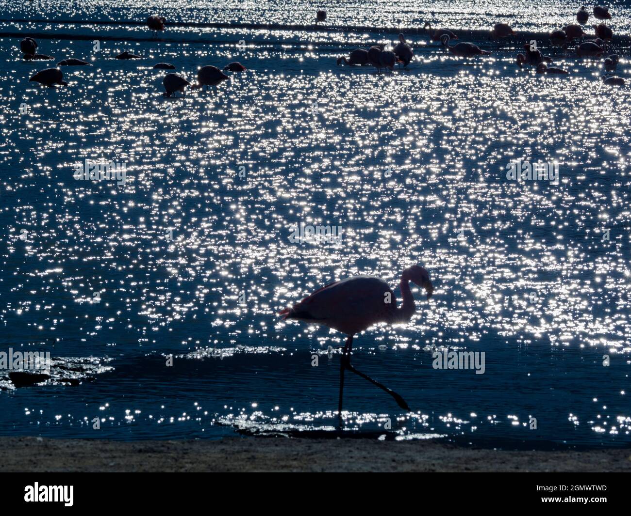 Potosi , Bolivia - 24 May 2018 Laguna Hediona is a pretty salt lake ...