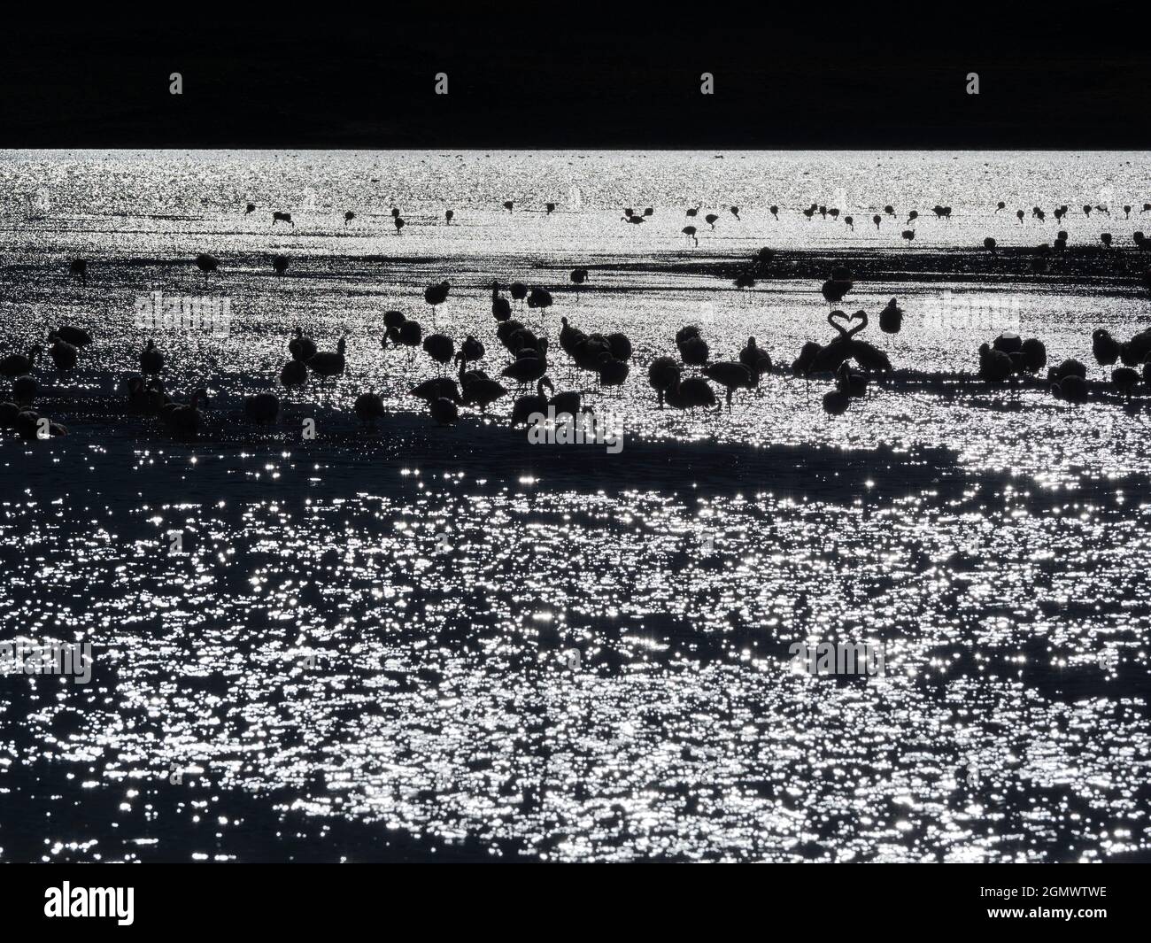 Potosi , Bolivia - 24 May 2018 Laguna Hediona is a pretty salt lake ...