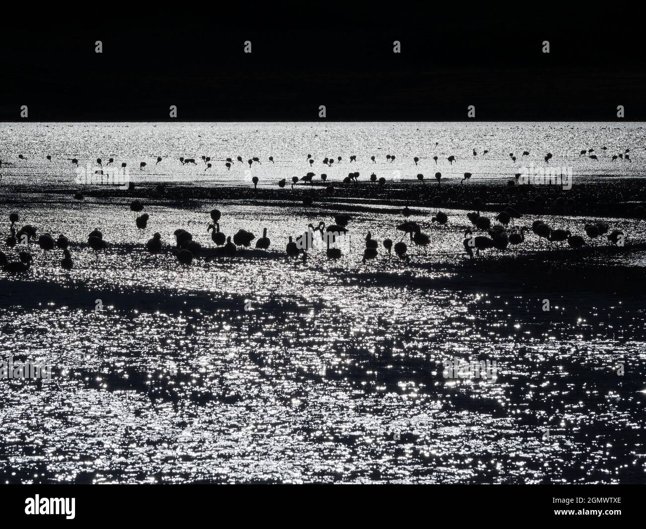 Potosi , Bolivia - 24 May 2018 Laguna Hediona is a pretty salt lake ...