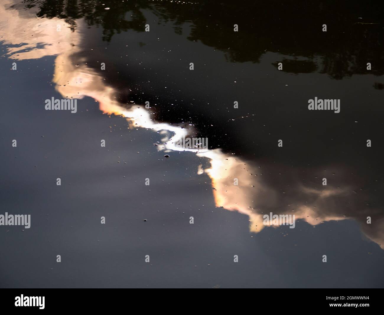 Bri image hi-res stock photography and images - Alamy