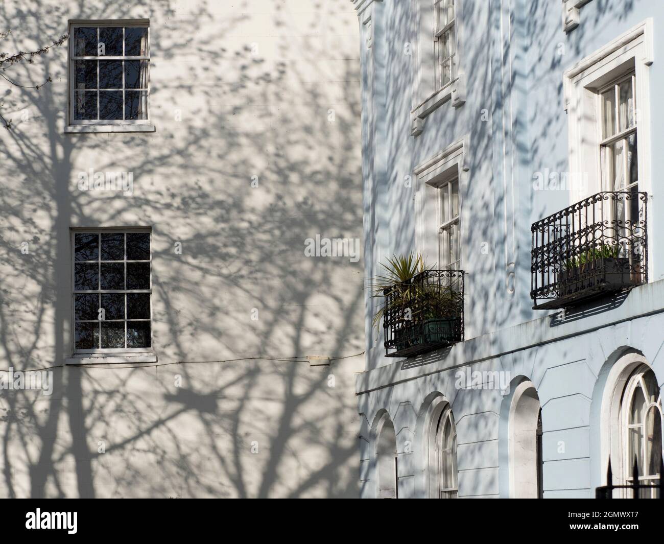 Shadows of neighbouring trees and their spring blossom make these ...