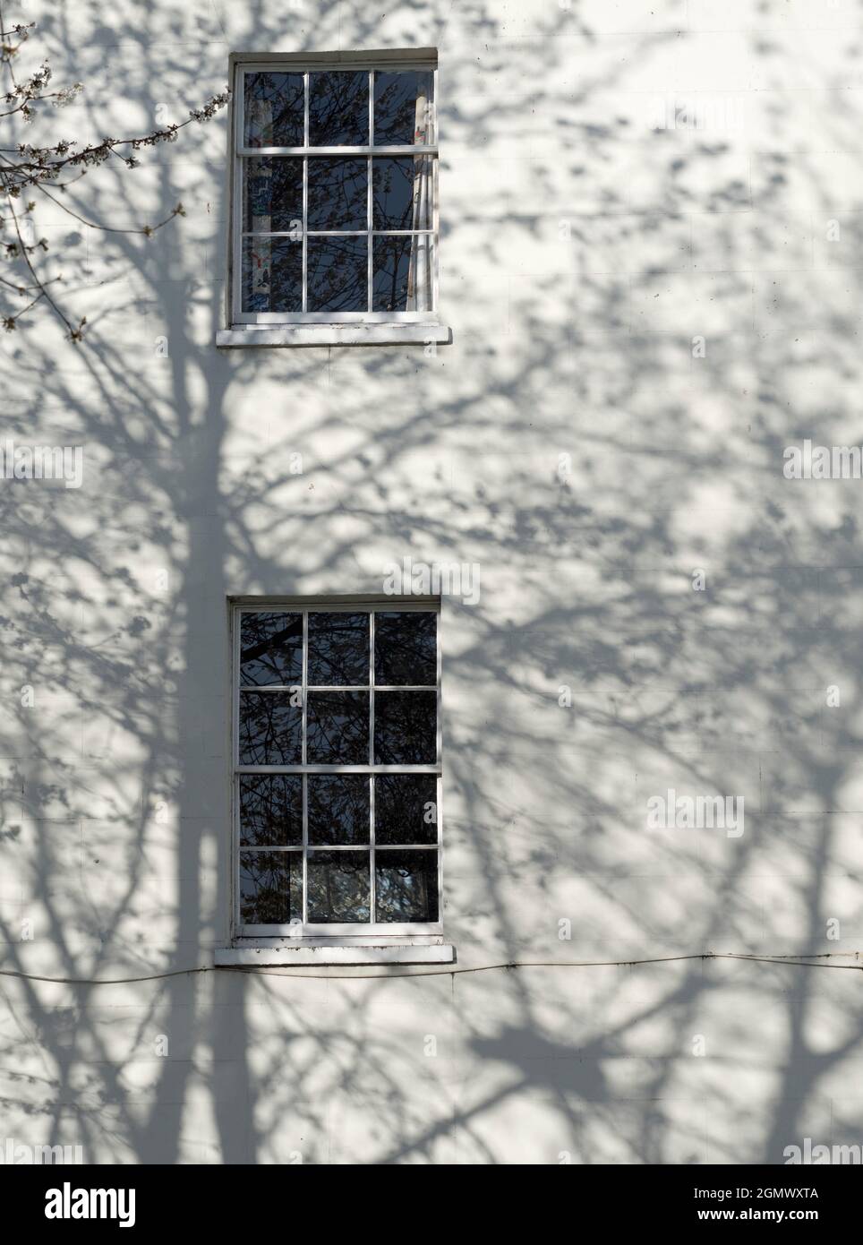 Shadows of neighbouring trees and their emerging spring blossom make ...