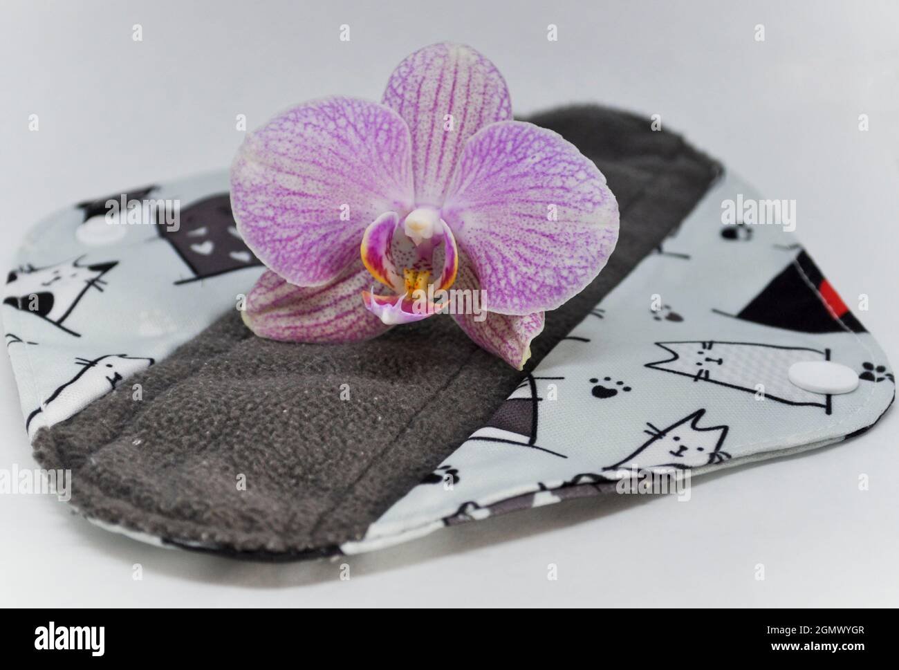 Washable sanitary towels hi-res stock photography and images - Alamy