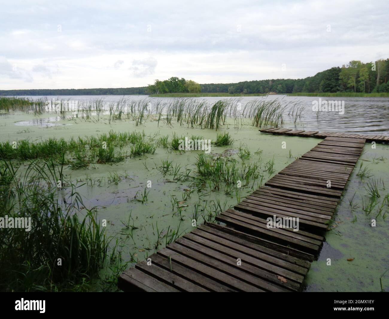 Mossy boards hi-res stock photography and images - Alamy