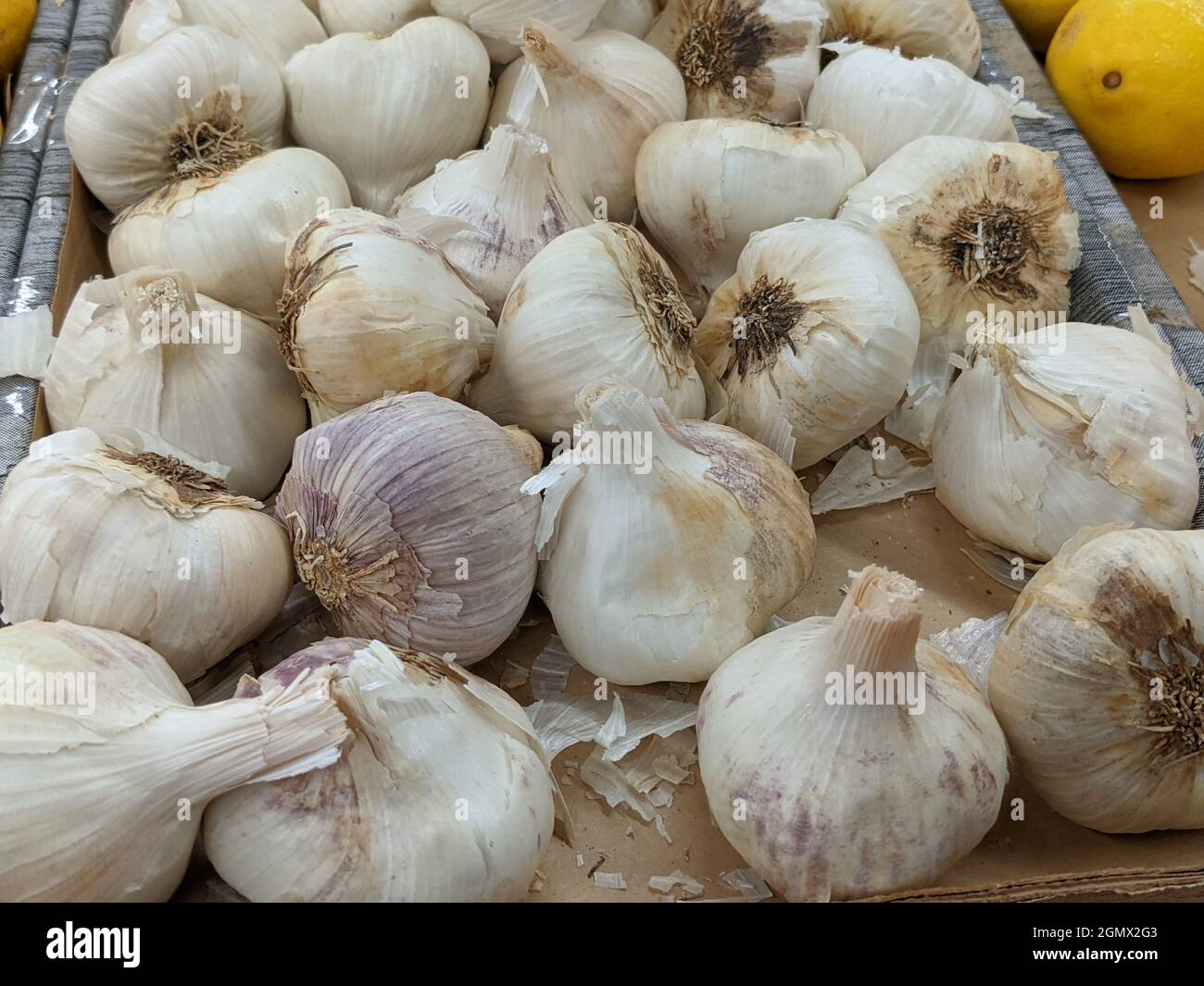 Bunch of fresh garlic cloves available for purchase at a grocery store ...