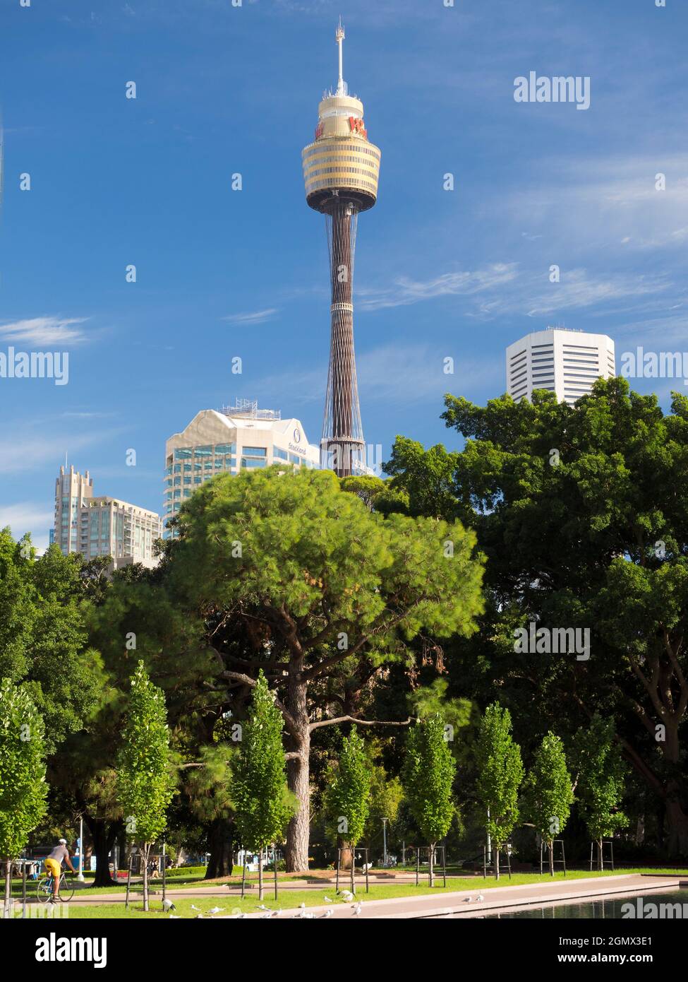 Sydney, Australia - 16 February 2019; one man, cycling. Sydney Tower is ...