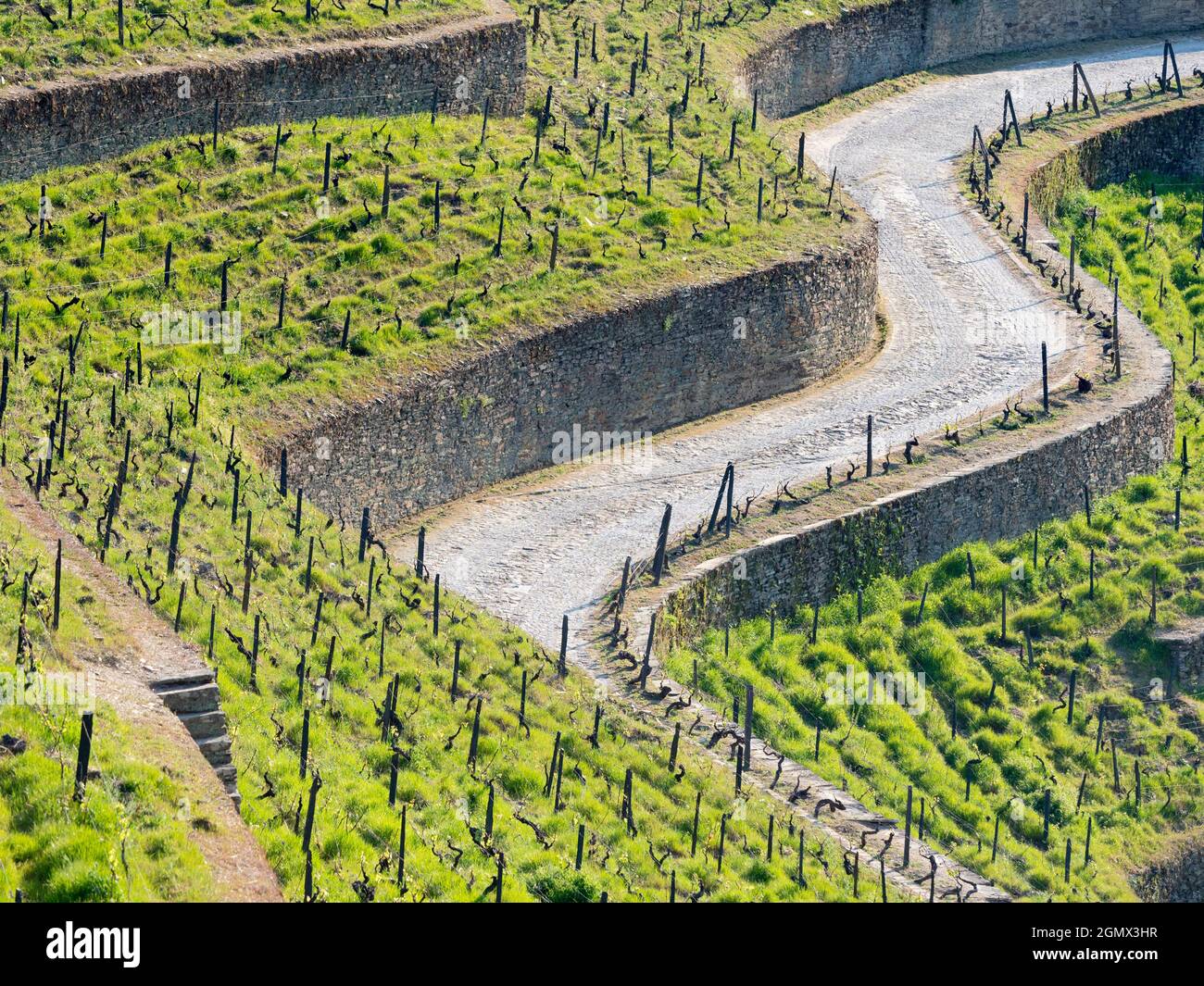 The scenic Douro Valley, which runs from the Atlantic coast at Porto ...