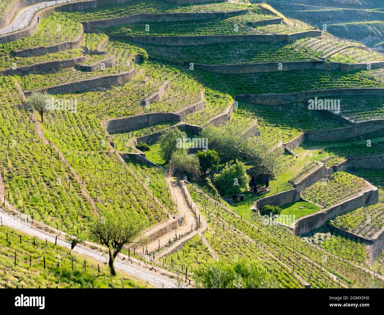 The scenic Douro Valley, which runs from the Atlantic coast at Porto ...