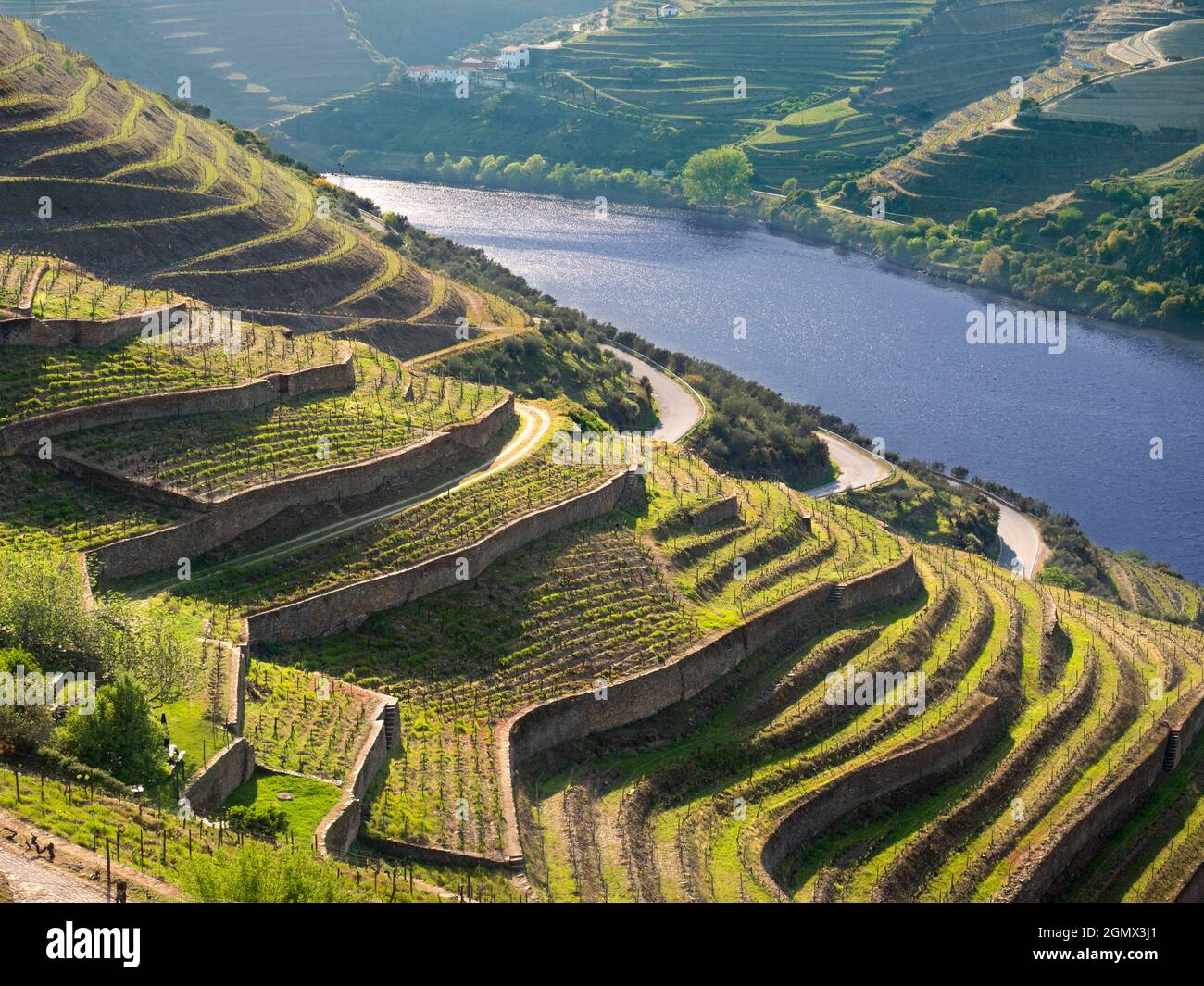 The scenic Douro Valley, which runs from the Atlantic coast at Porto ...