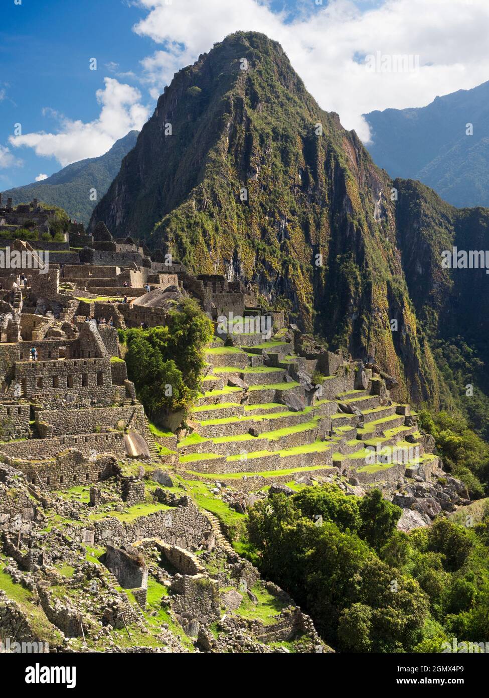 Machu piccchu incan ruins hi-res stock photography and images - Alamy