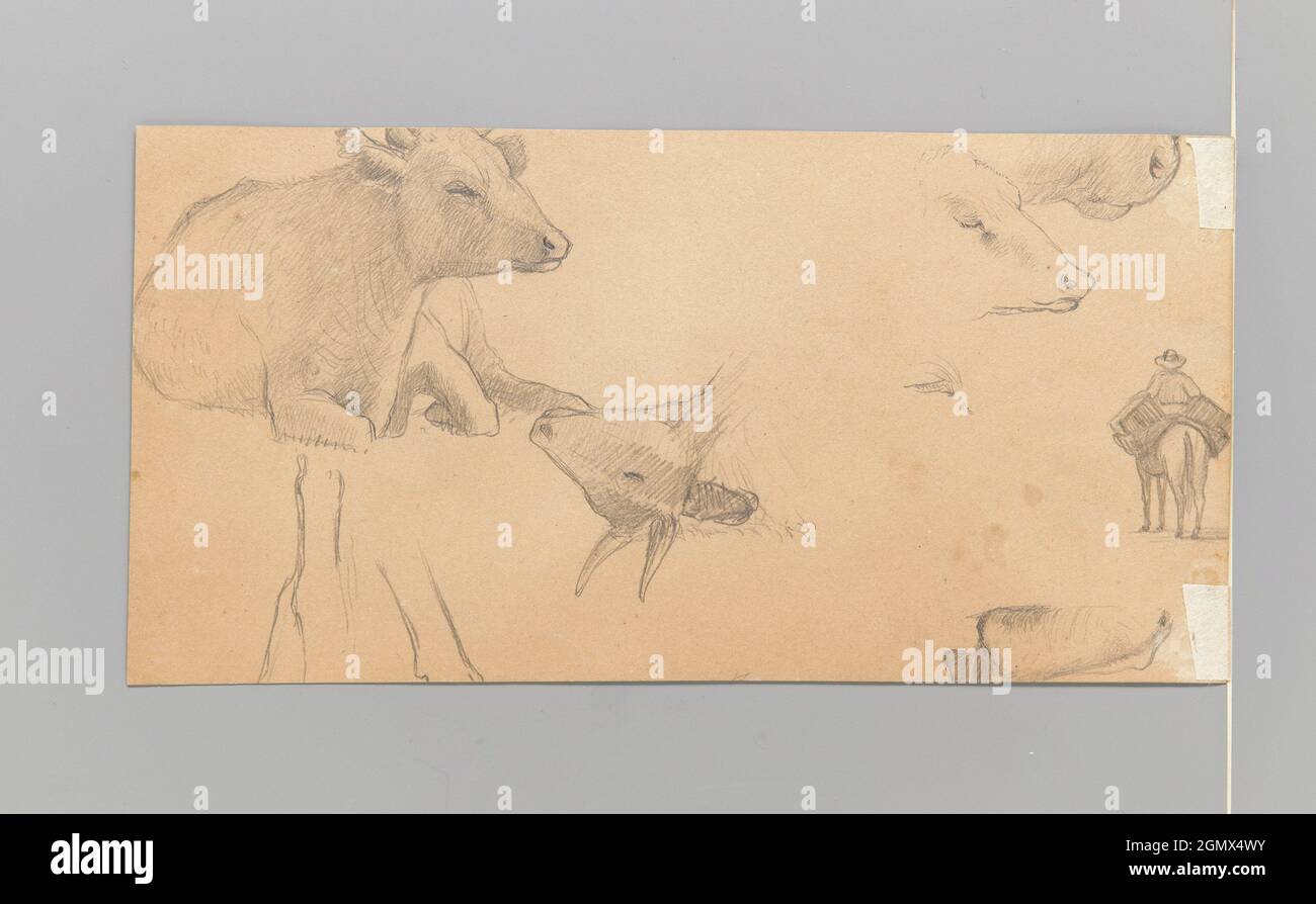 Man riding cow hi-res stock photography and images - Alamy