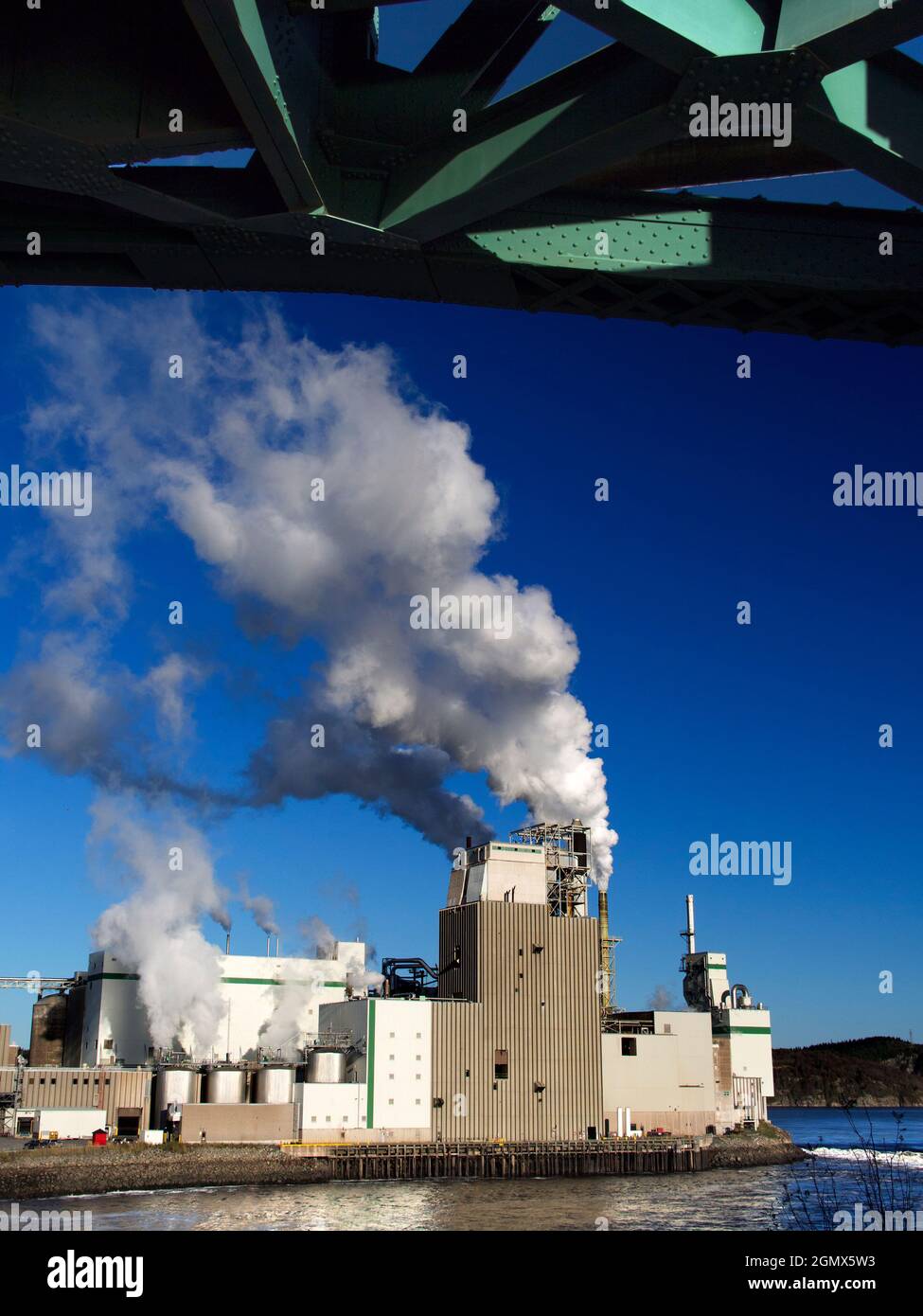 Irving pulp paper hi-res stock photography and images - Alamy