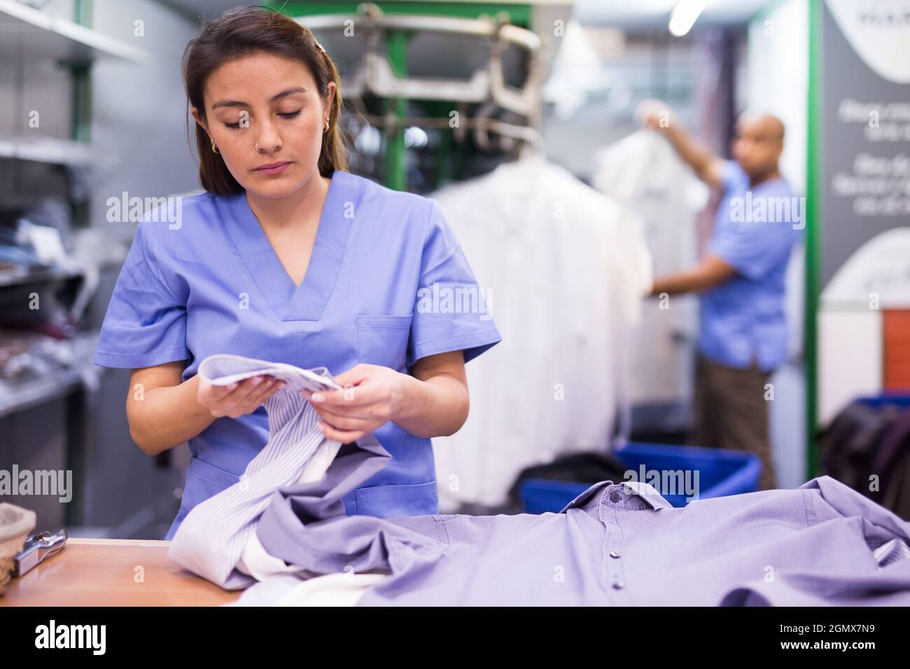 Focused female dry cleaning employee examining clean clothes before ...