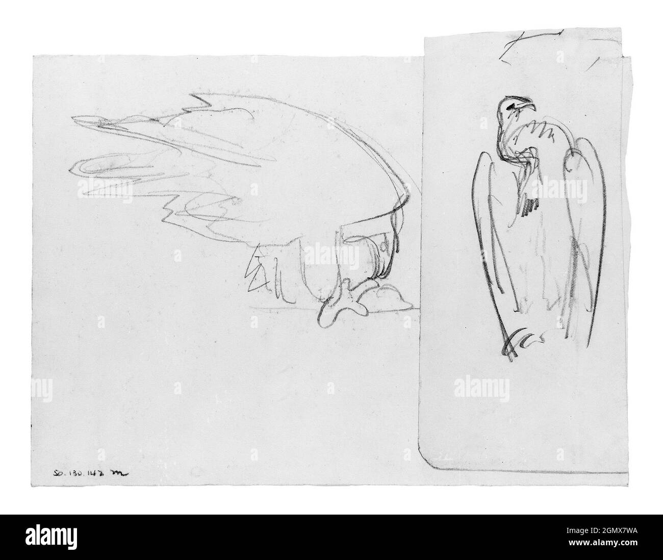 Show Off On Paper Drawings