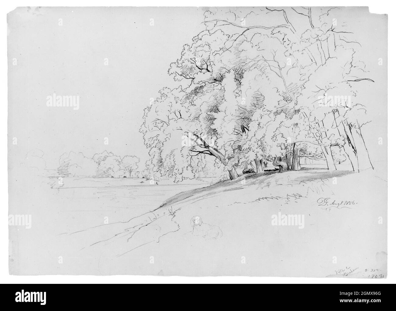 Trees and Dog. Artist: David Johnson (1827-1908); Date: 1886; Medium ...