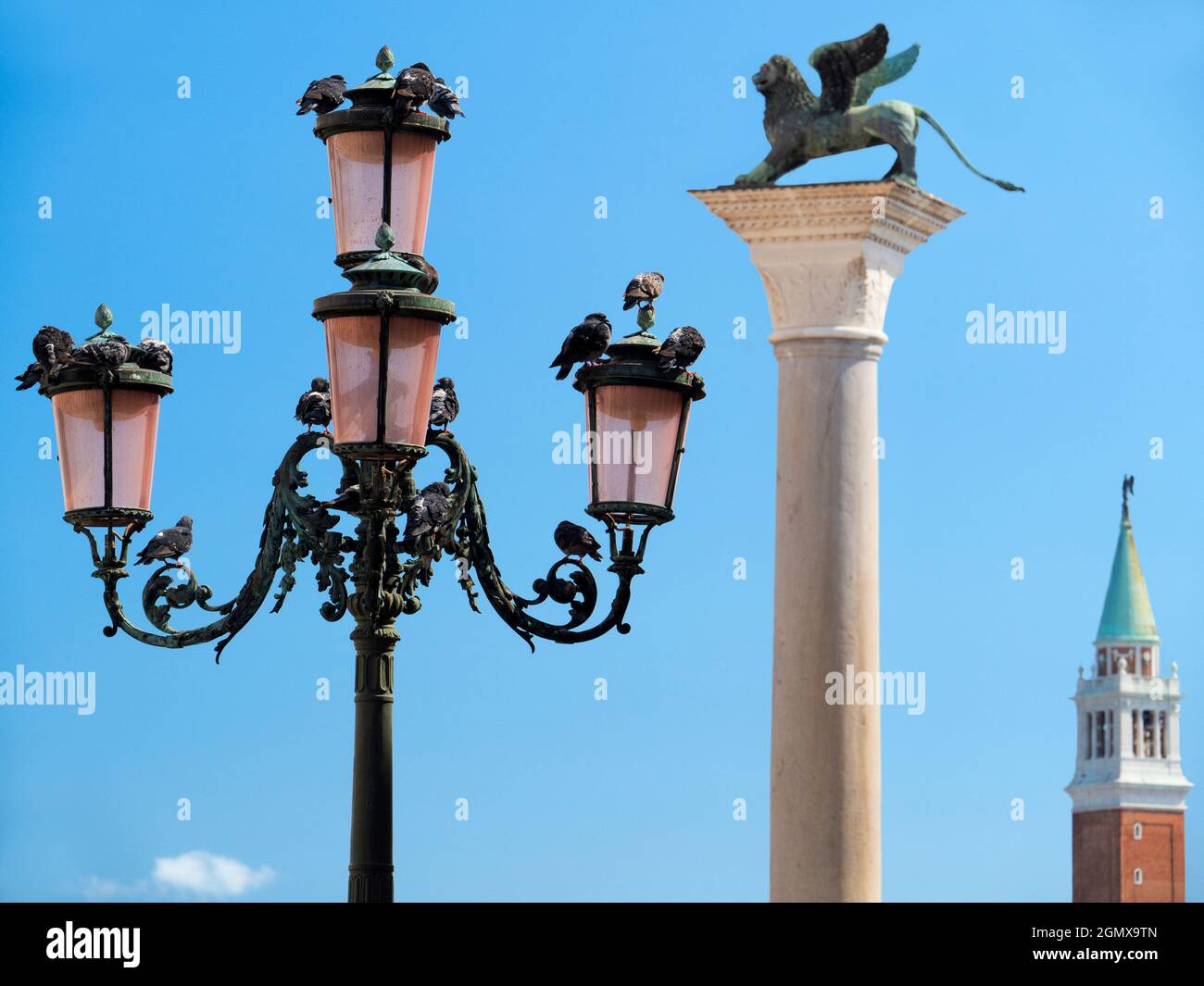 Venice is one of the great cities of the world, famed for its canals ...