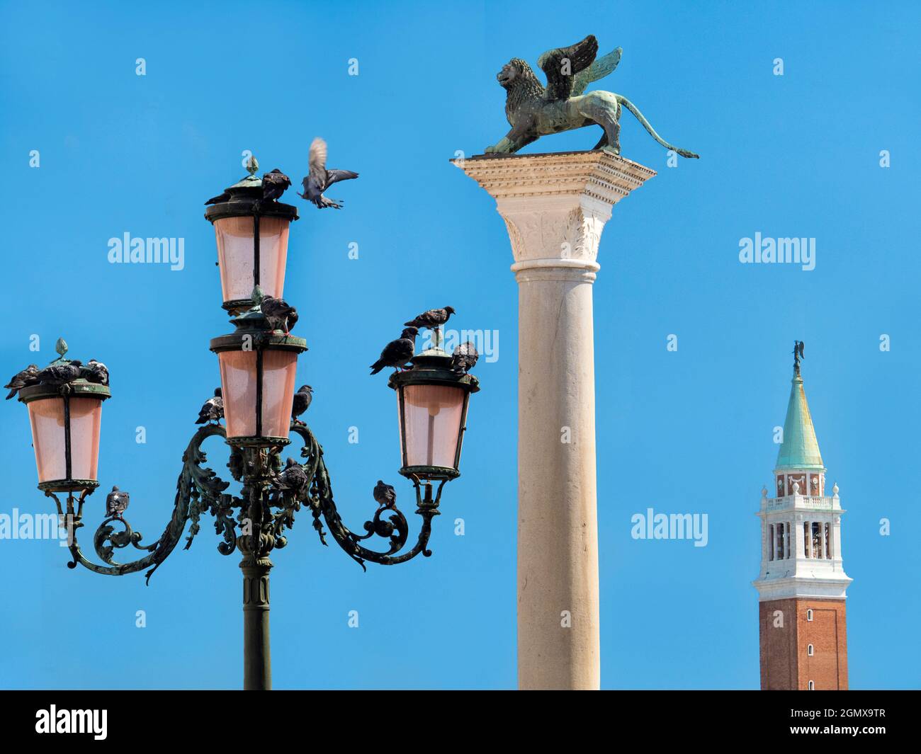 Venice is one of the great cities of the world, famed for its canals ...