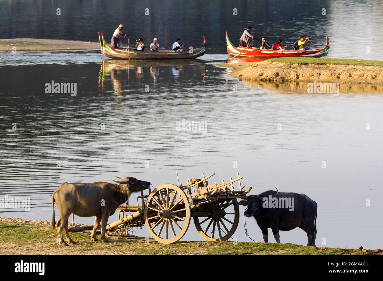 Teak myanmar hi-res stock photography and images - Alamy