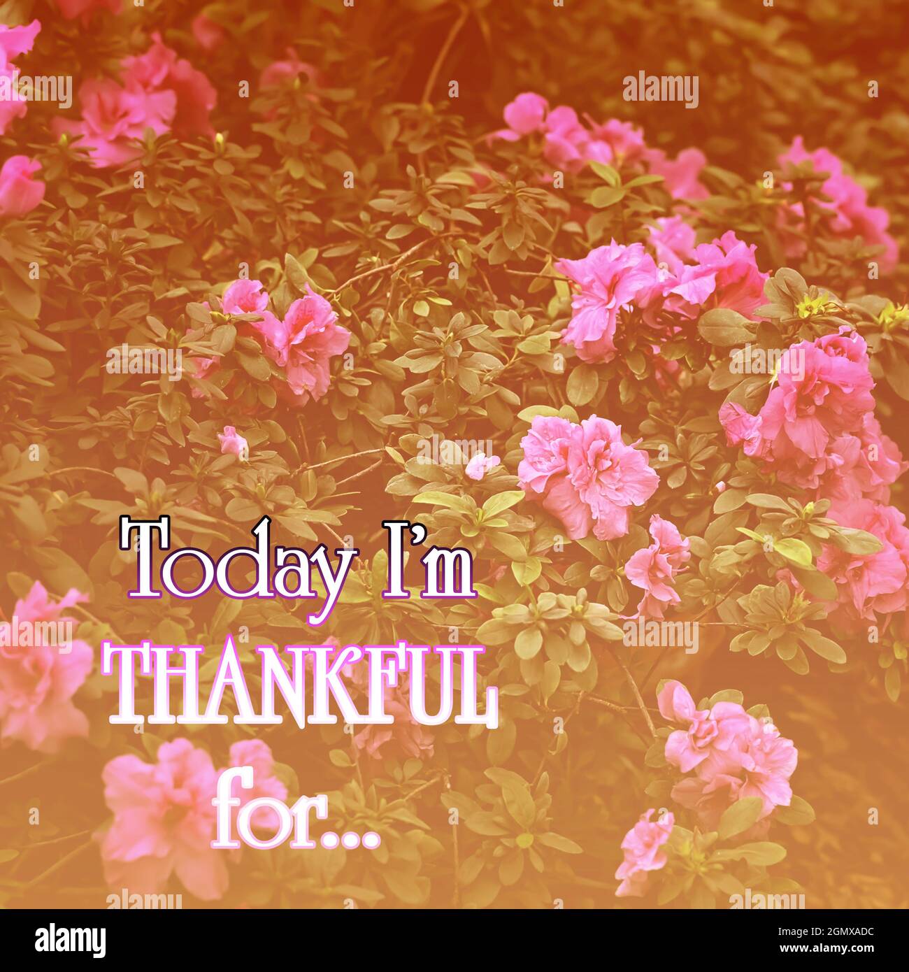 I m thankful for today | Ratour.ru