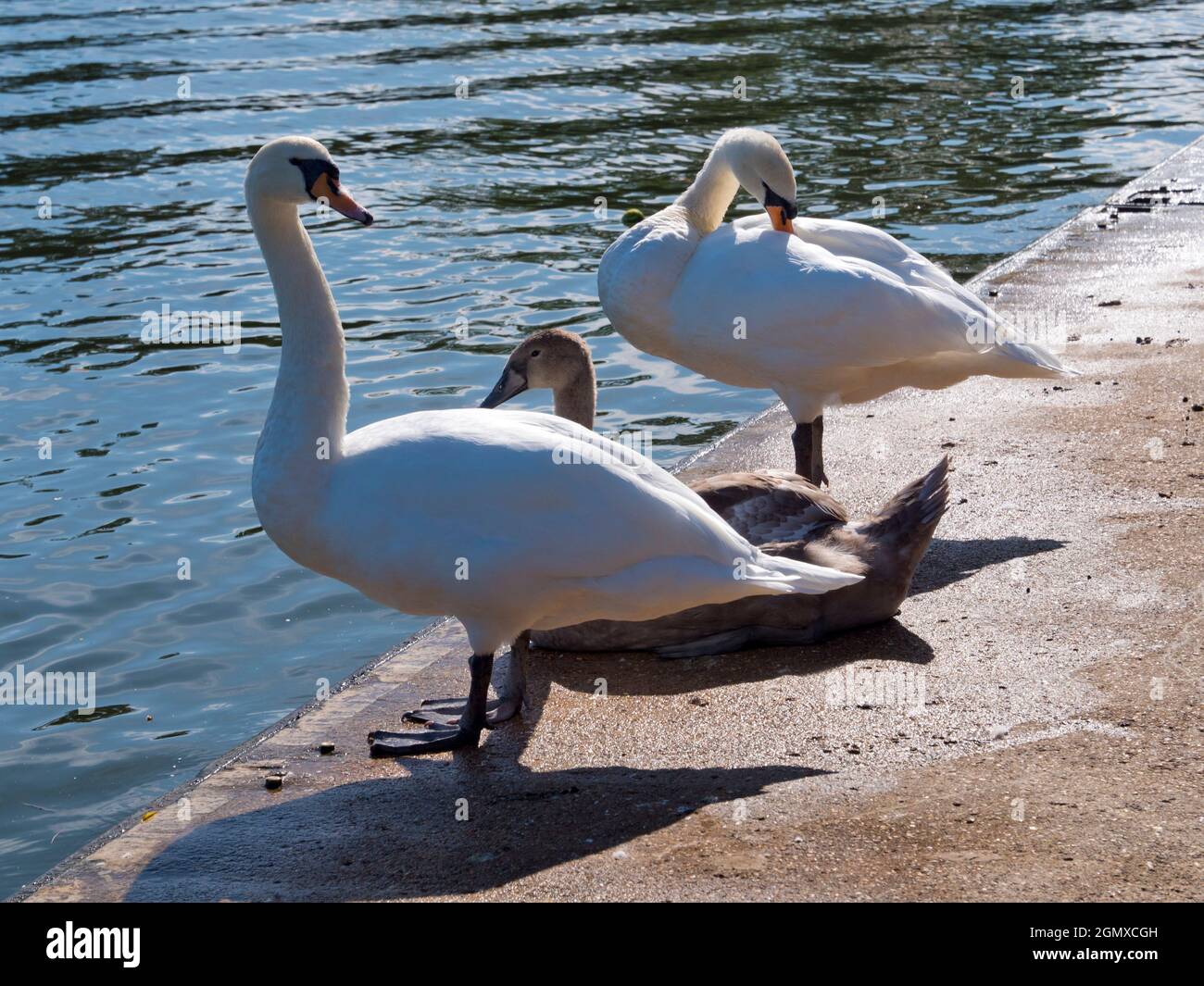 Opposite bank of england hi-res stock photography and images - Alamy
