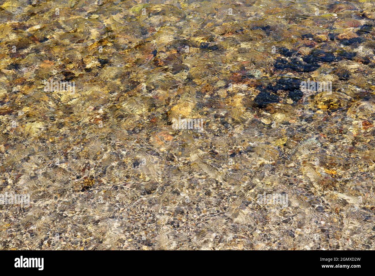 Clear water flowing through the pebbles in the creek Stock Photo - Alamy