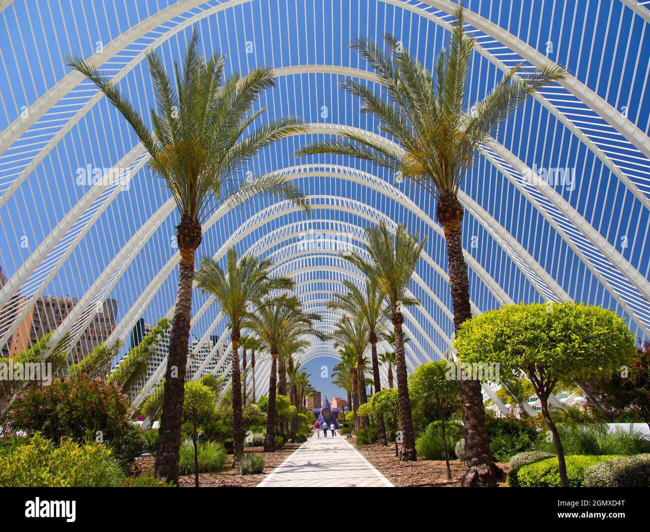 Valencia, Spain - 23 June 2013 The City of Arts and Sciences is an ...