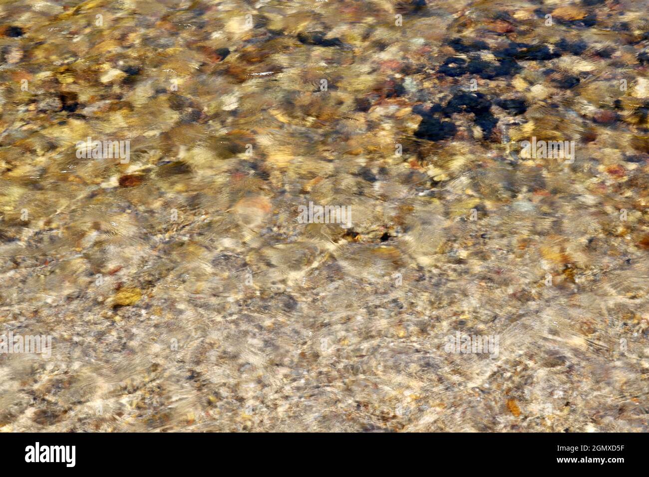 Clear water flowing through the pebbles in the creek Stock Photo - Alamy