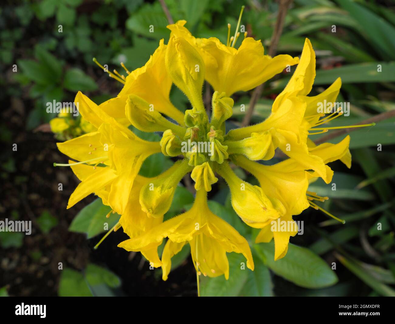 Radley Village, Oxfordshire, England - 6 May 2020; no people in view ...