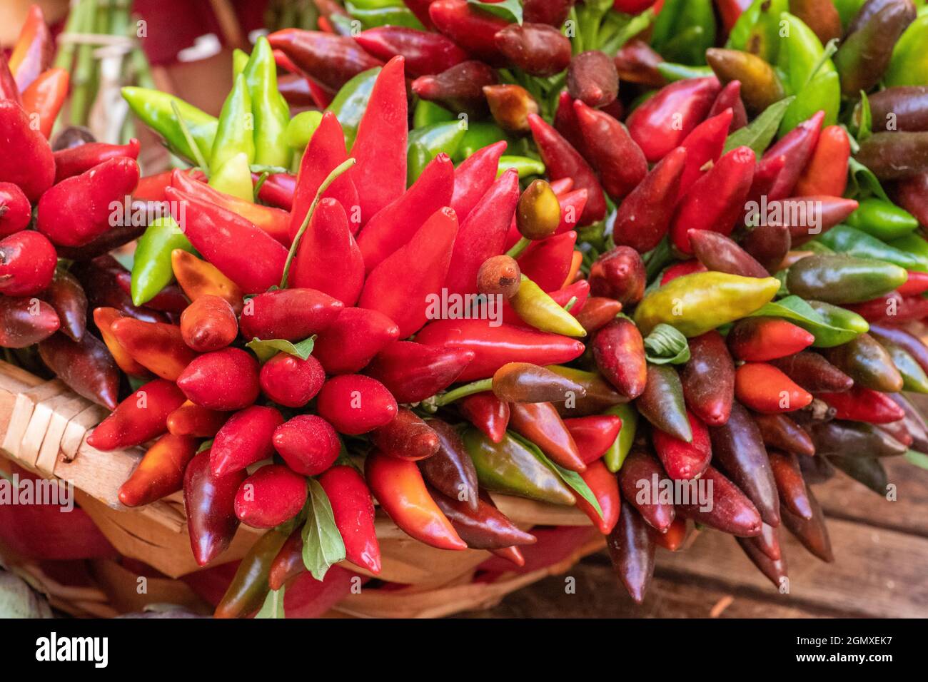 Chili peppers bunch hi-res stock photography and images - Alamy