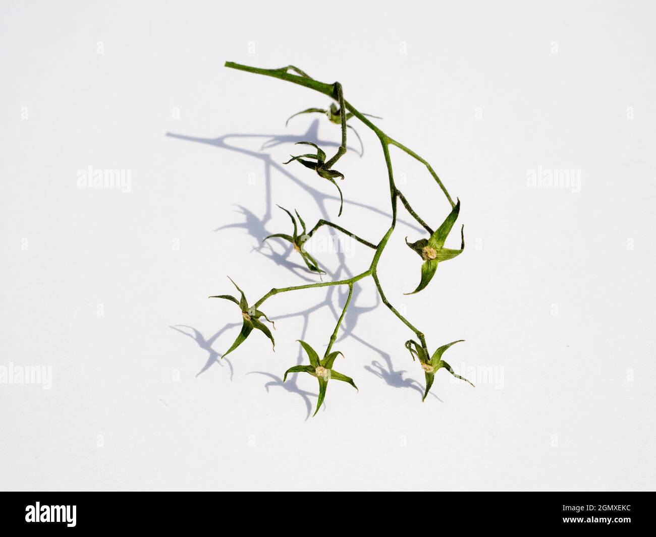 Radley Village, Oxfordshire, England - 30 April 2021; no people in view ...