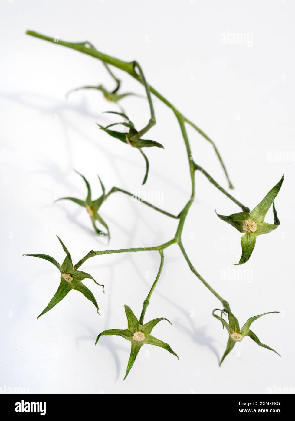 Radley Village, Oxfordshire, England - 30 April 2021; no people in view ...