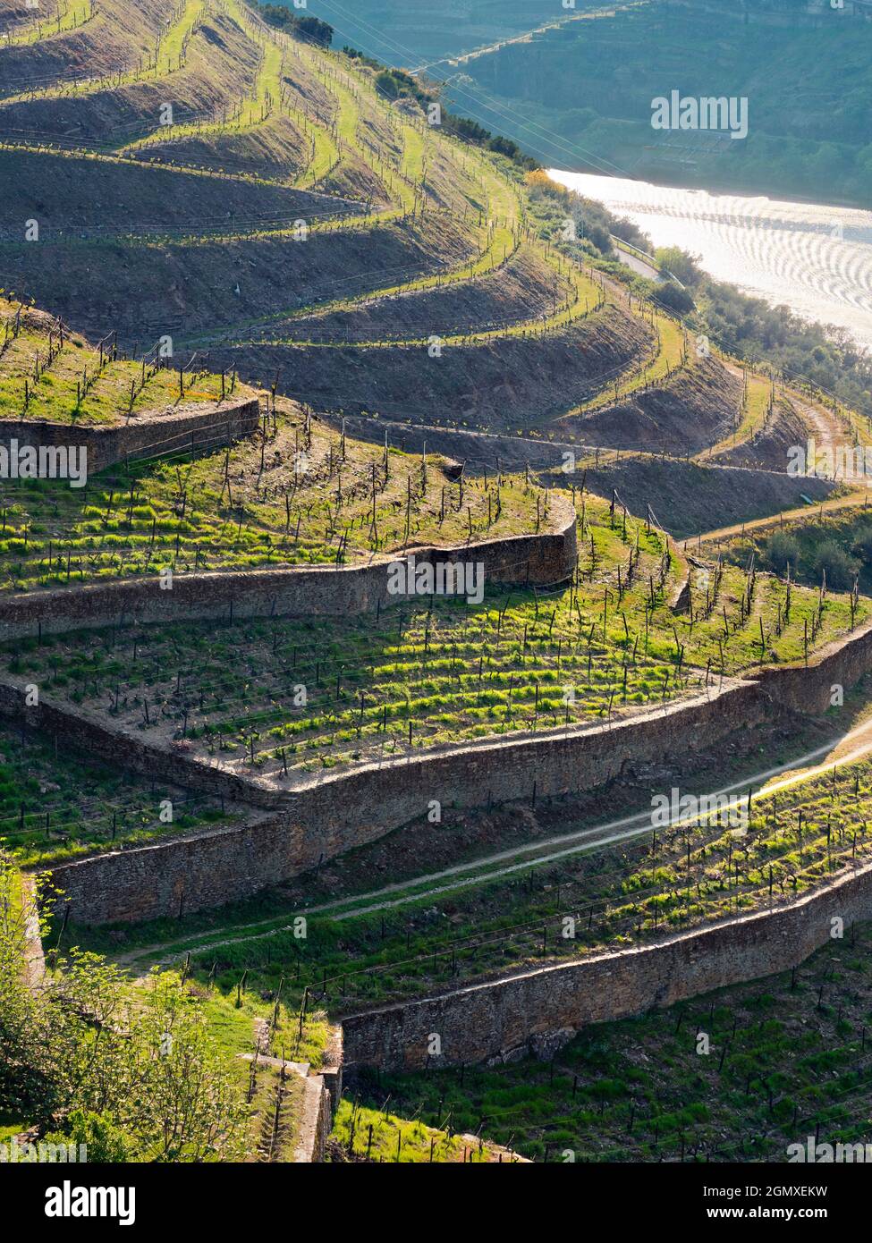 The scenic Douro Valley, which runs from the Atlantic coast at Porto ...