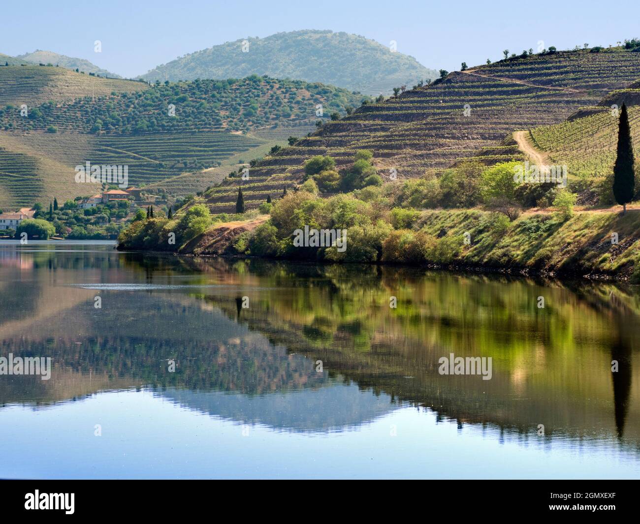 The scenic Douro Valley, which runs from the Atlantic coast at Porto ...