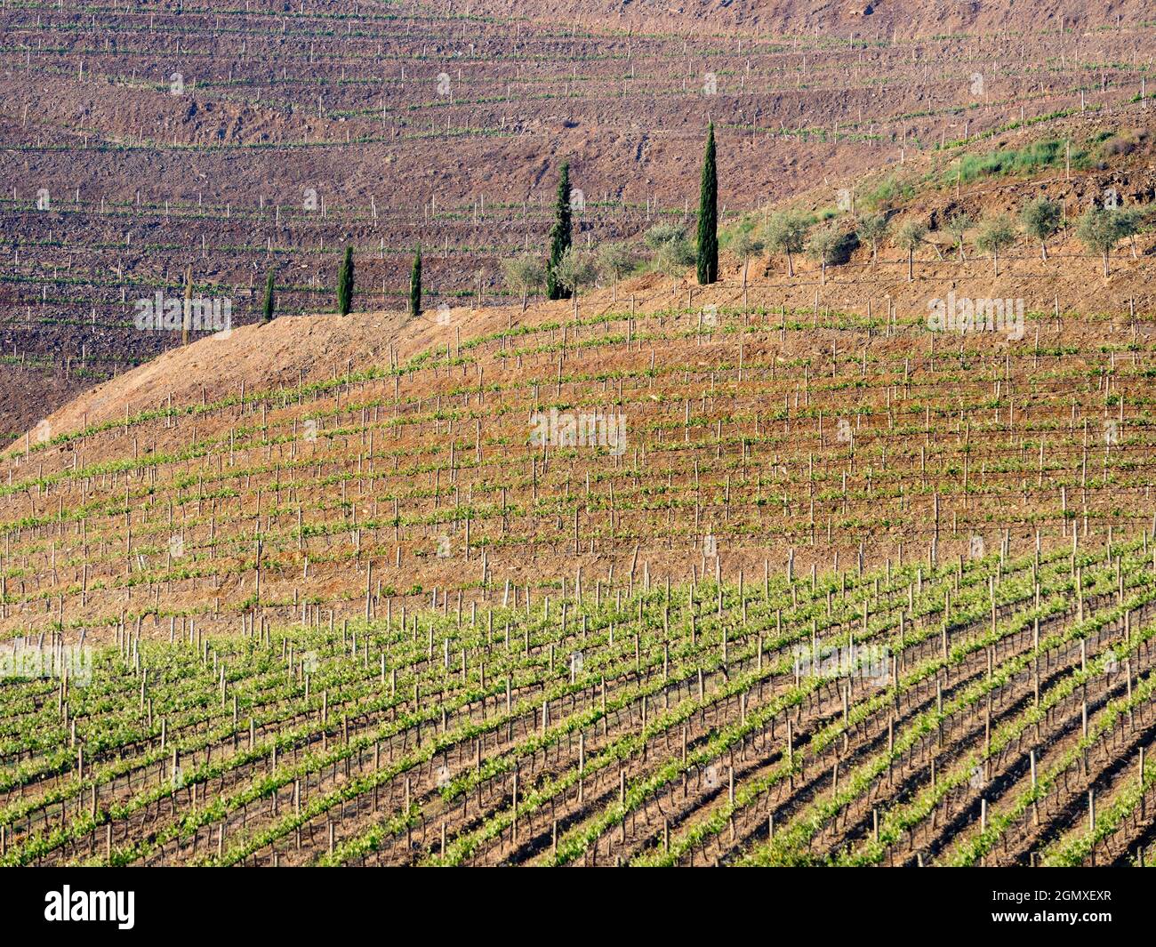 The scenic Douro Valley, which runs from the Atlantic coast at Porto ...