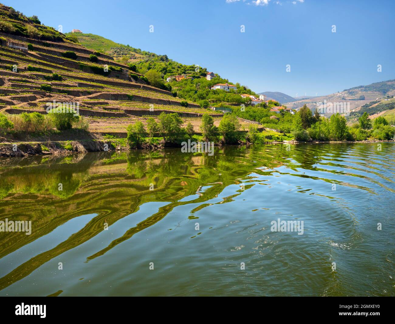 Douro valley river sunny morning hi-res stock photography and images ...