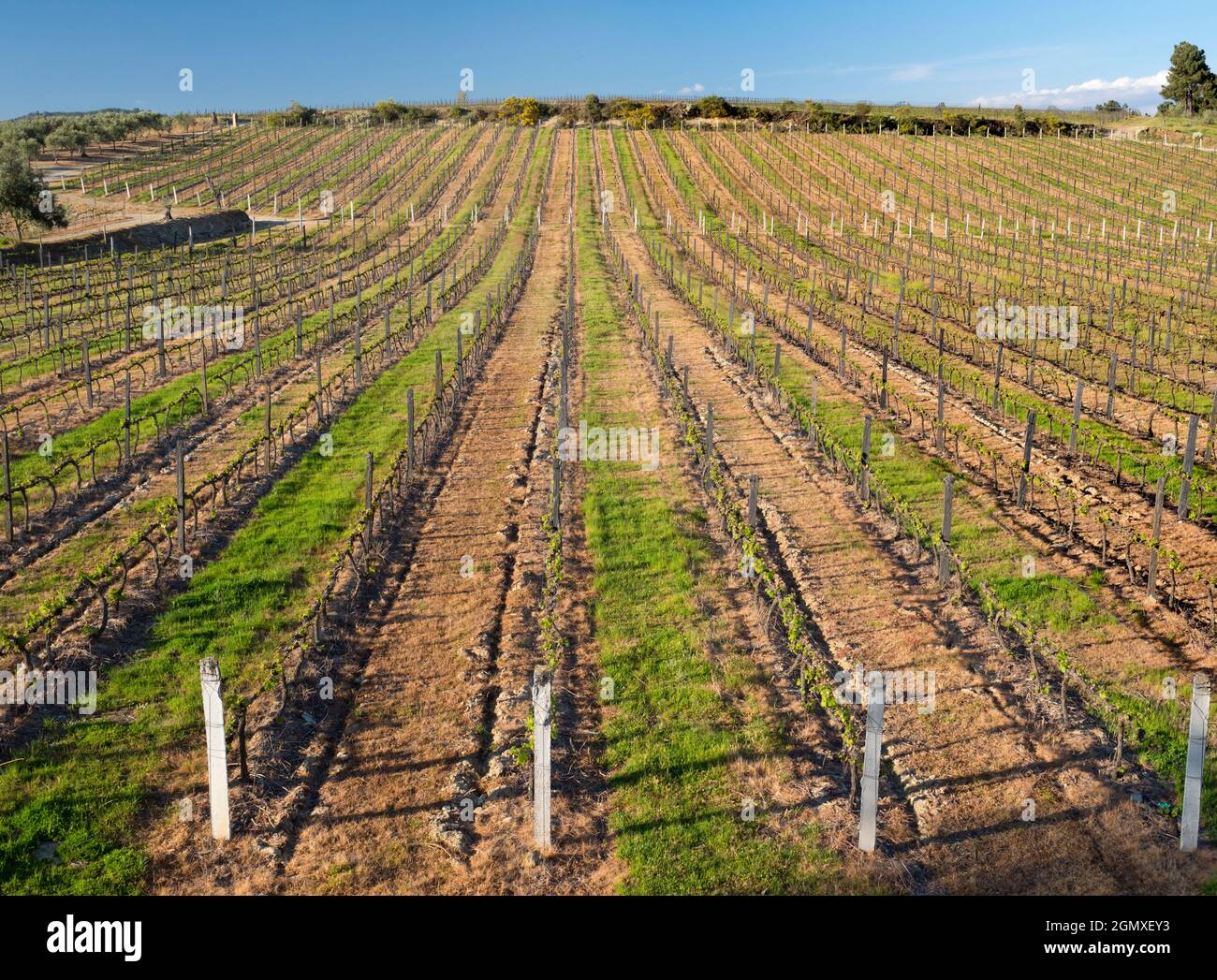 The scenic Douro Valley, which runs from the Atlantic coast at Porto ...