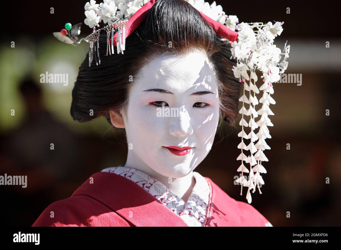 Japanese Culture Geisha Geisha Wikipedia