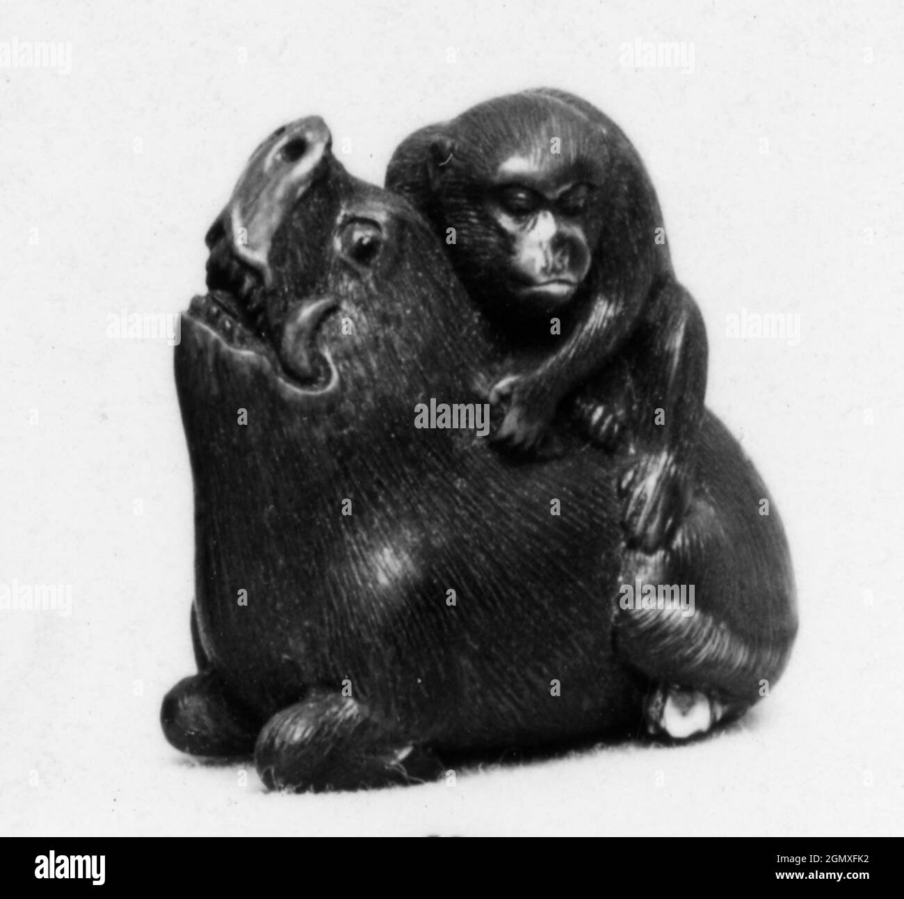 Monkey attacking hi-res stock photography and images - Alamy