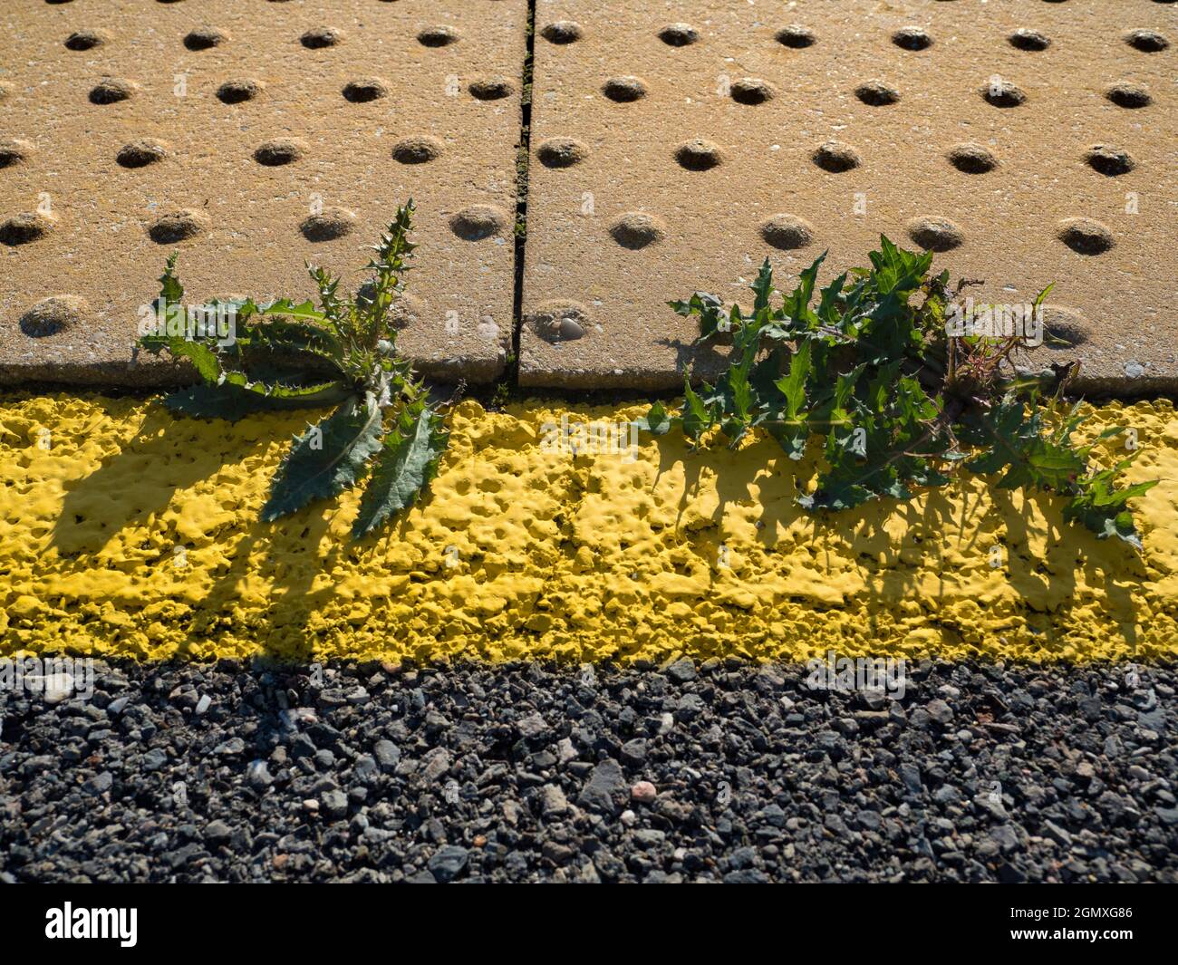 Radley Village, Oxfordshire, England - 1 September 2020; no people in ...