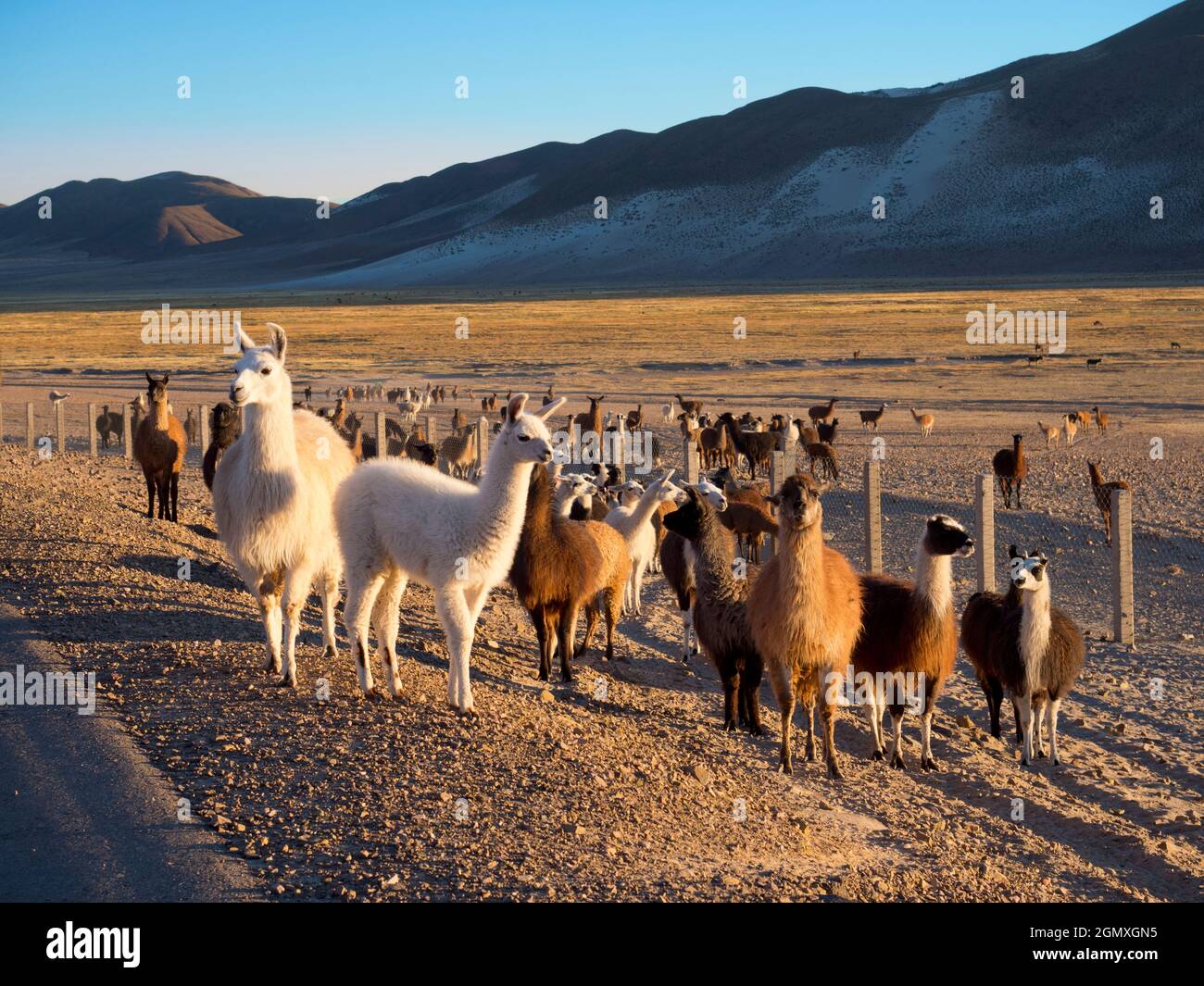 Types range hi-res stock photography and images - Alamy