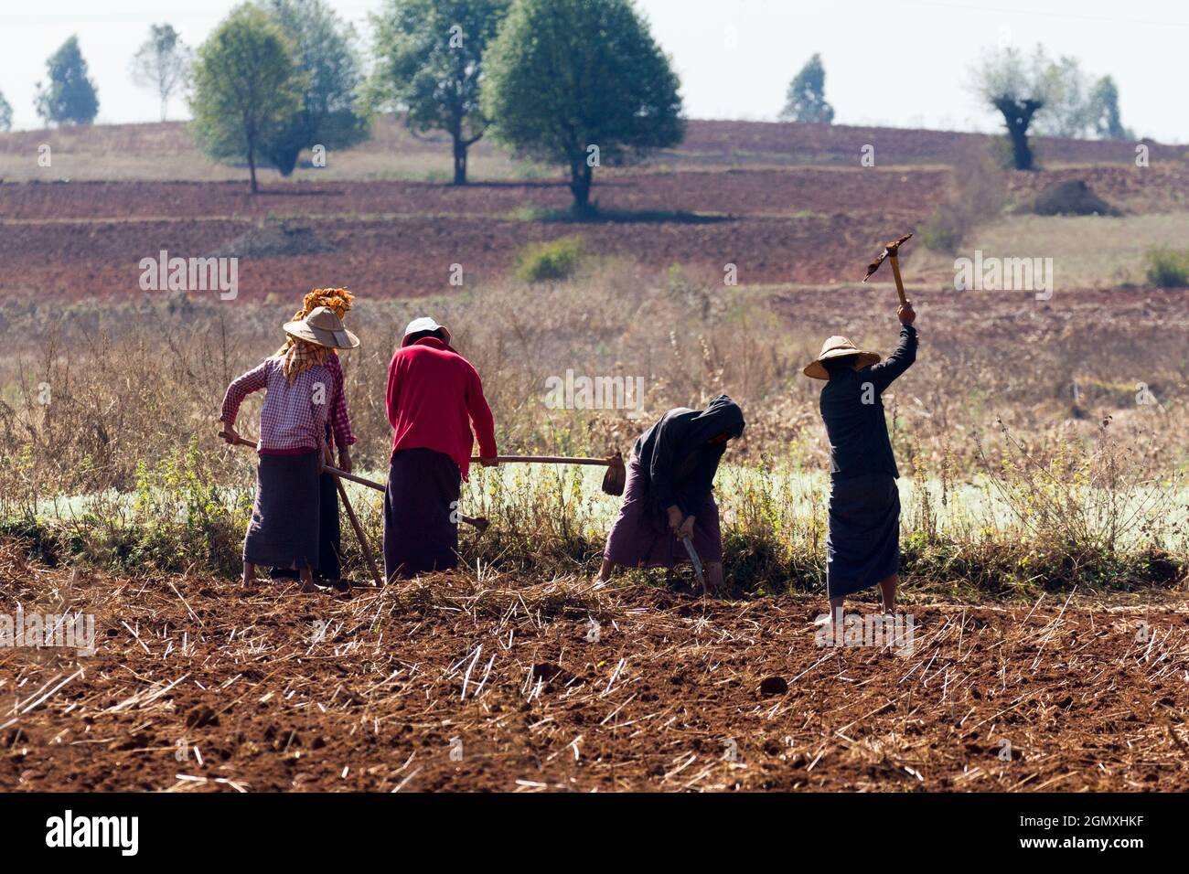 Lungi boys hi-res stock photography and images - Alamy