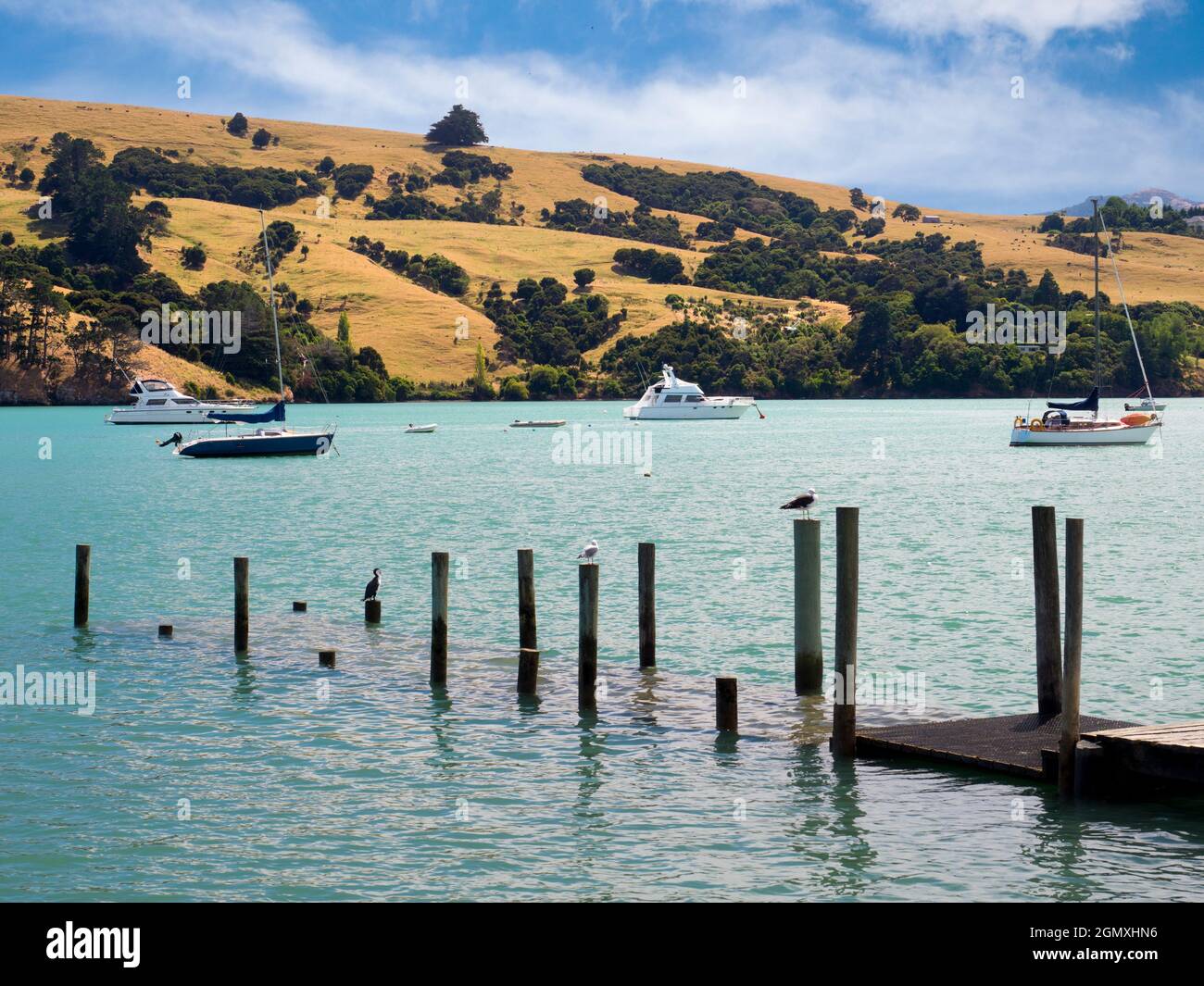 Akaroa, New Zealand South Island - 27 February 2019 Akaroa is a tiny ...