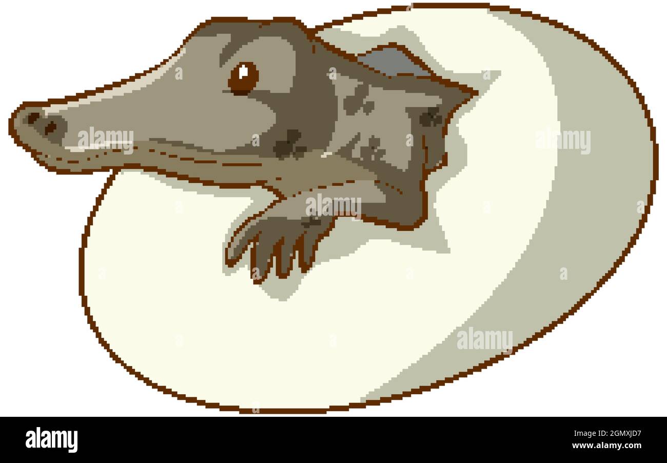 Alligator hatching from an egg on white background illustration Stock ...