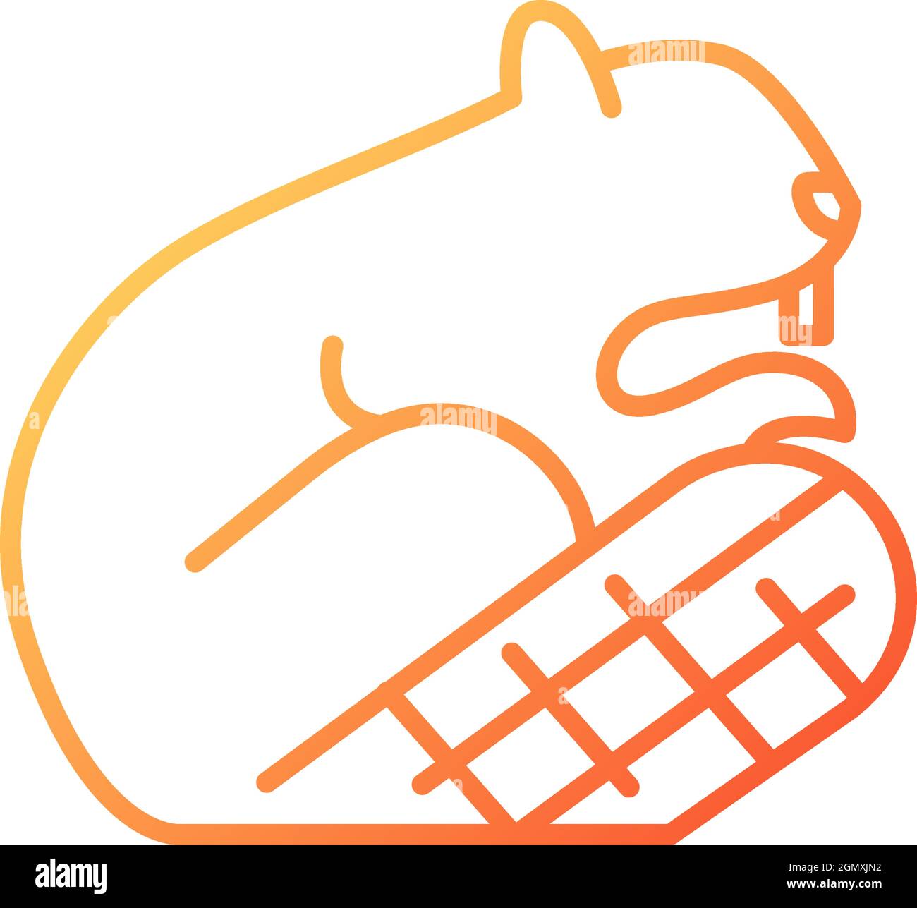 Beaver gradient linear vector icon Stock Vector Image & Art - Alamy Beaver gradient linear vector icon Stock Vector Image & Art - Alamy