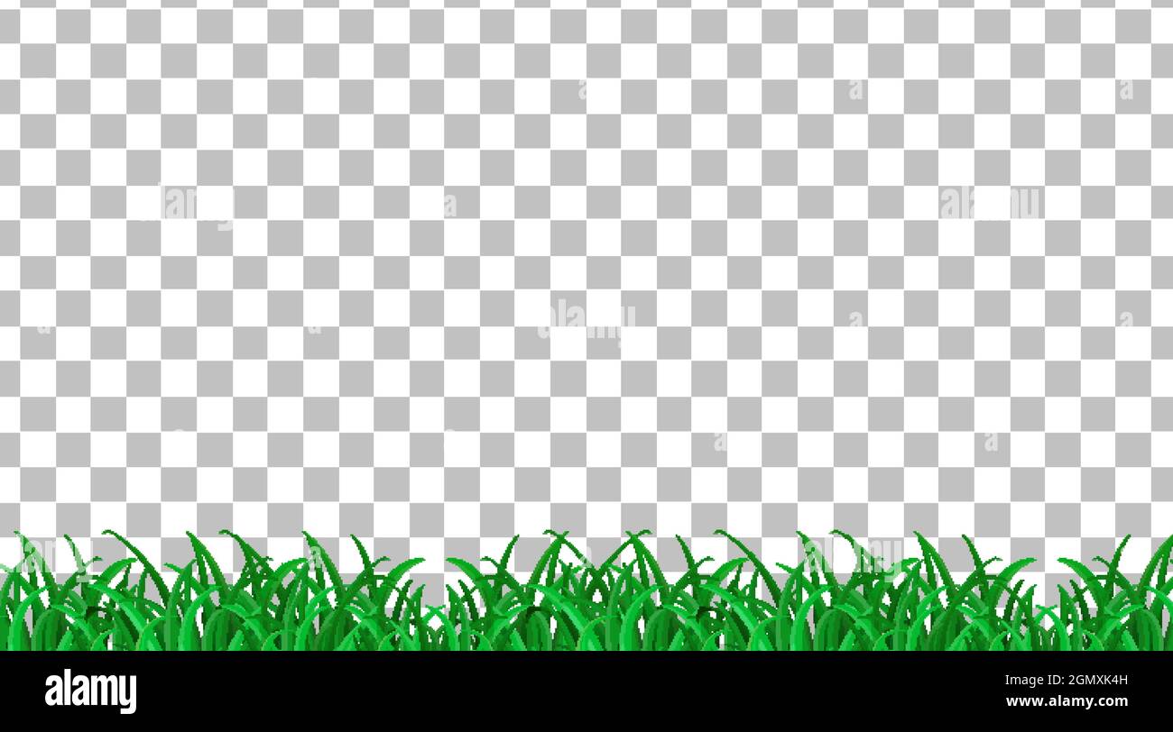 Simple grass field on transparent background illustration Stock Vector ...